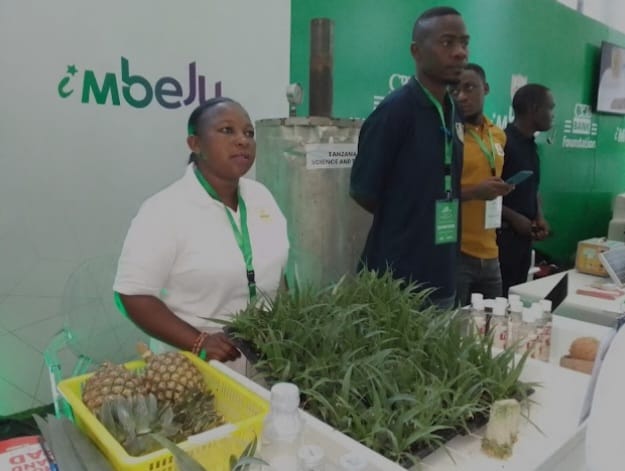 Utafiti uzalishaji miche maabara unavyoongeza thamani ya mazao - HabariLeo