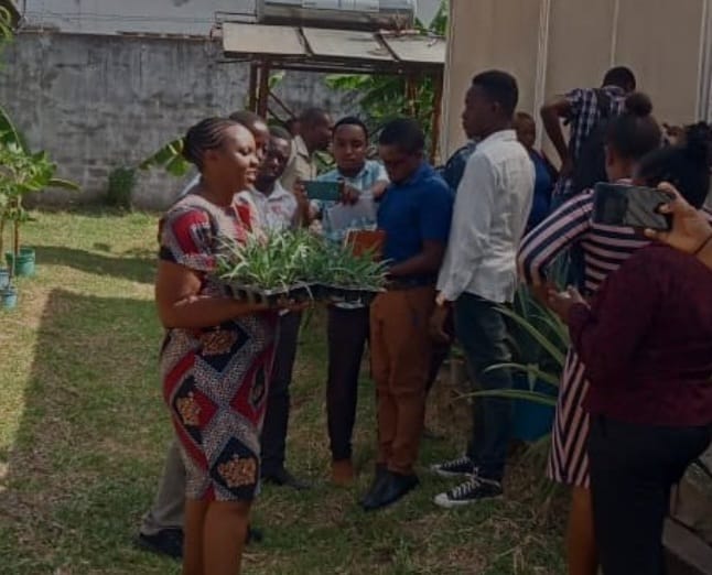 Utafiti uzalishaji miche maabara unavyoongeza thamani ya mazao - HabariLeo