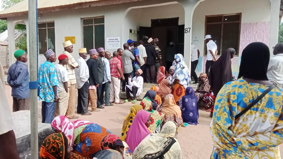 Nanyamba wafurika upigaji kura - HabariLeo